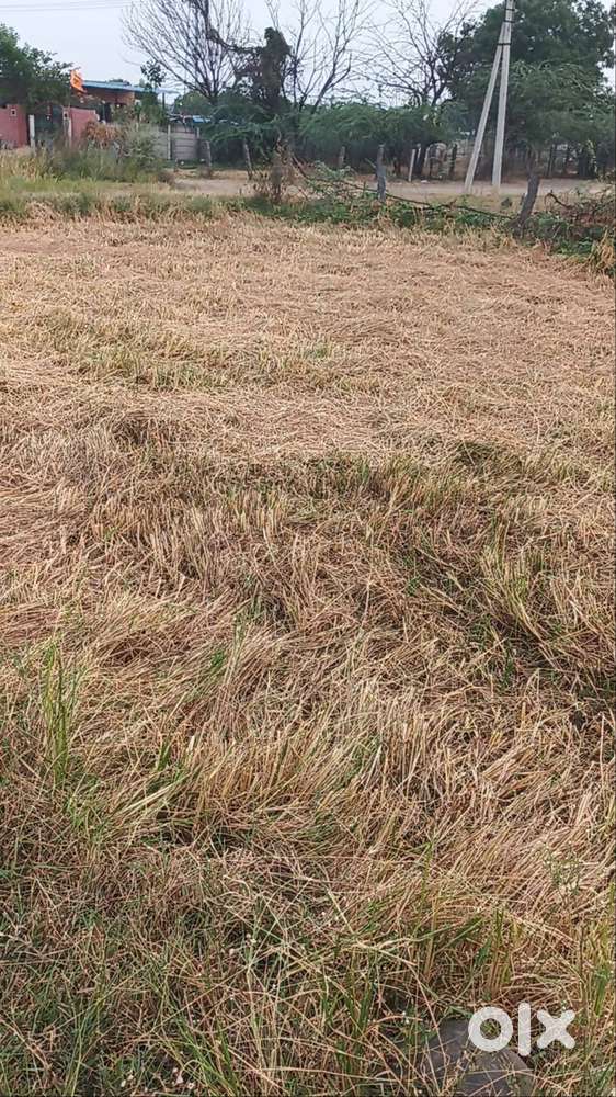 Agriculture land ready to sale spot registration - Lands & Plots ...