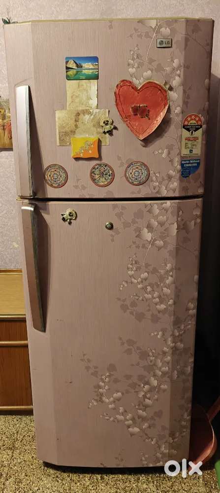Fridges C1617 Lg Double Door Fridge In Excellent Working Condition In ...