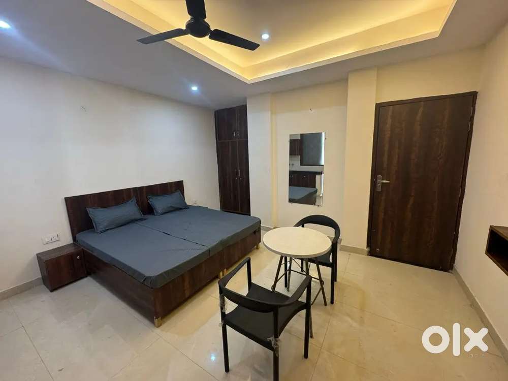 Luxury 1RK near AMEX - For Rent: Houses & Apartments - 1802685734