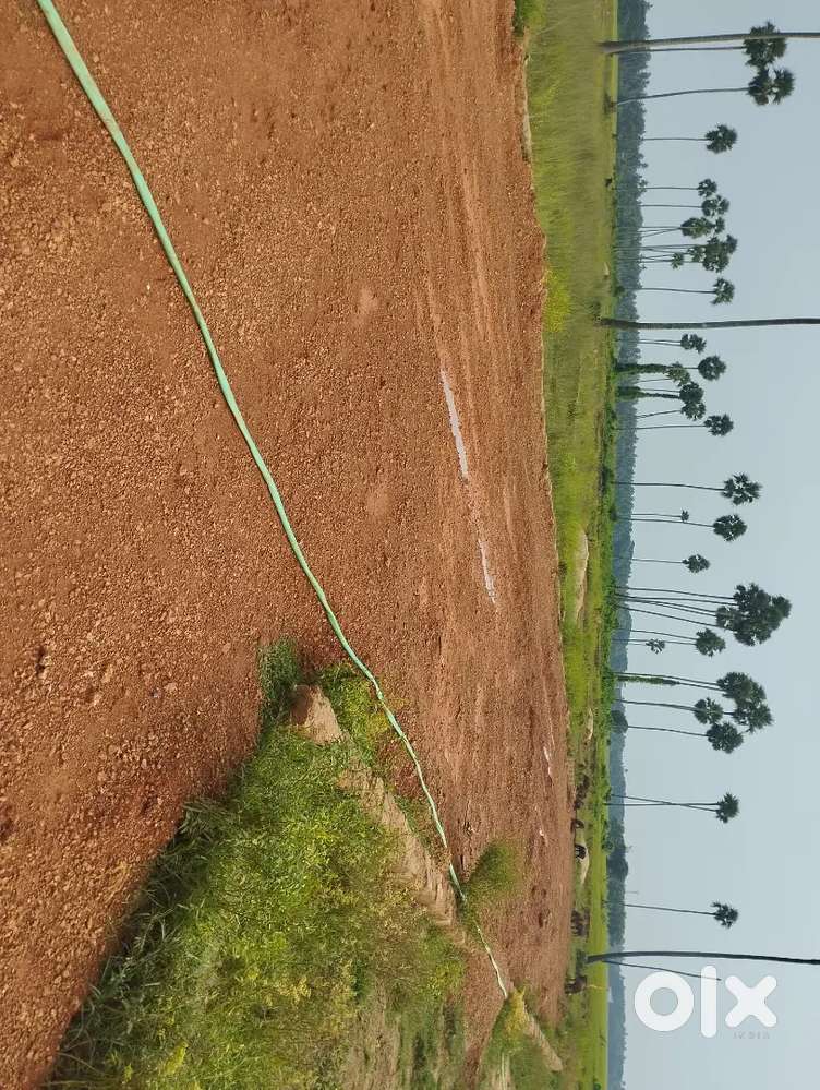 ONLY 6 LAKHS PLOT SALE, MANGALPUR, PURI - Lands & Plots - 1825248051