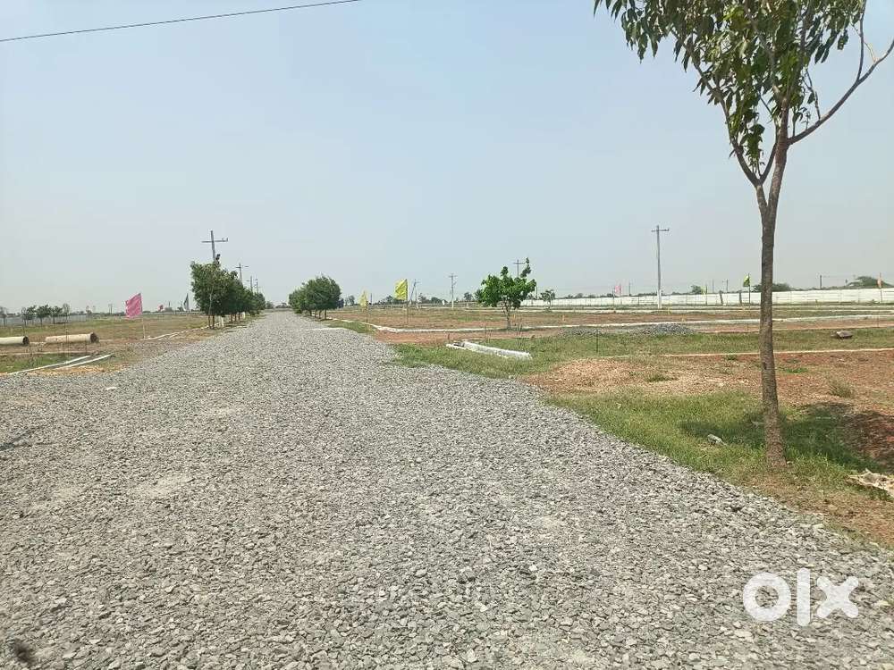 Lands & Plots for sale in Guntur | OLX