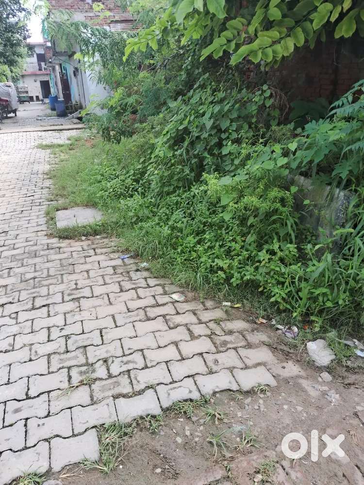 125 gaj plot for sale 36 hjar rupay gaj - Lands & Plots - 1819589067