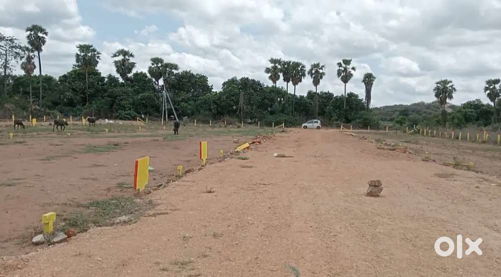 G.Konduru plots for sale - Lands & Plots - 1777105574