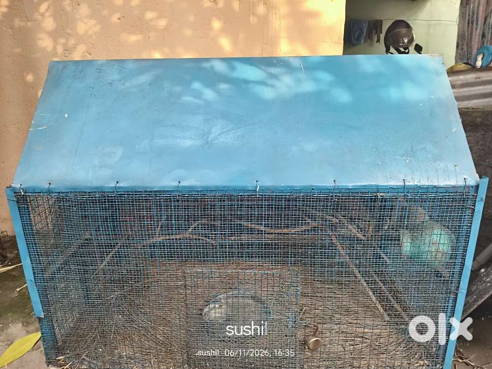 Bird cage for sell - Pet Food & Accessories in Link Road, Cuttack ...