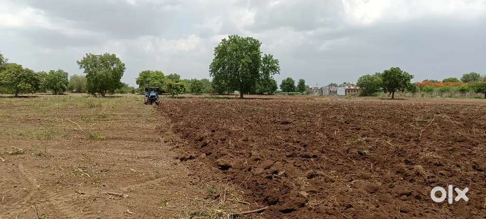Agricultural Land Available for Rent - Lands & Plots - 1809269432