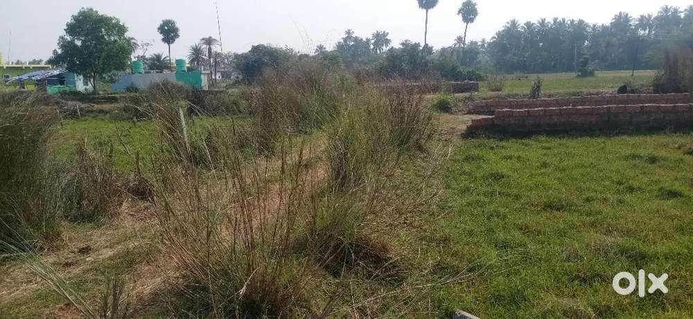 Sakhigopal temple algum road - Lands & Plots - 1765944619