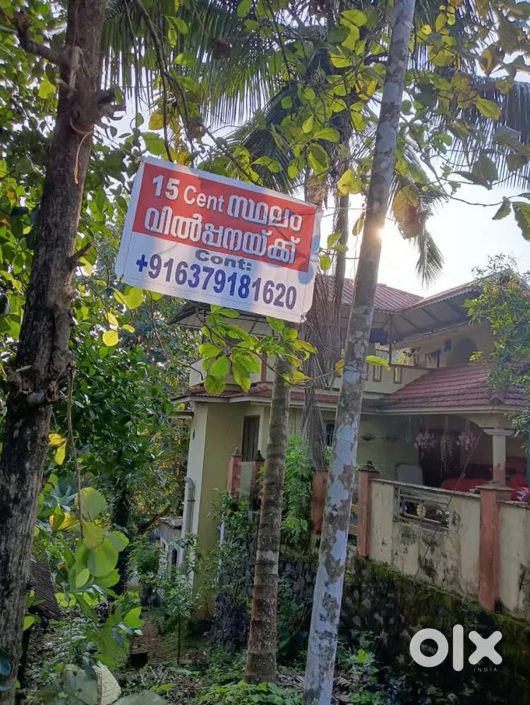 Land ranni, - Lands & Plots - 1791804695