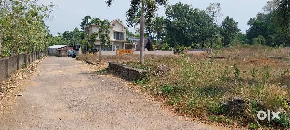7 CENT LAND FOR SALE AT NEAR APOLLO HOSPITAL KARUKUTTY - Lands & Plots ...