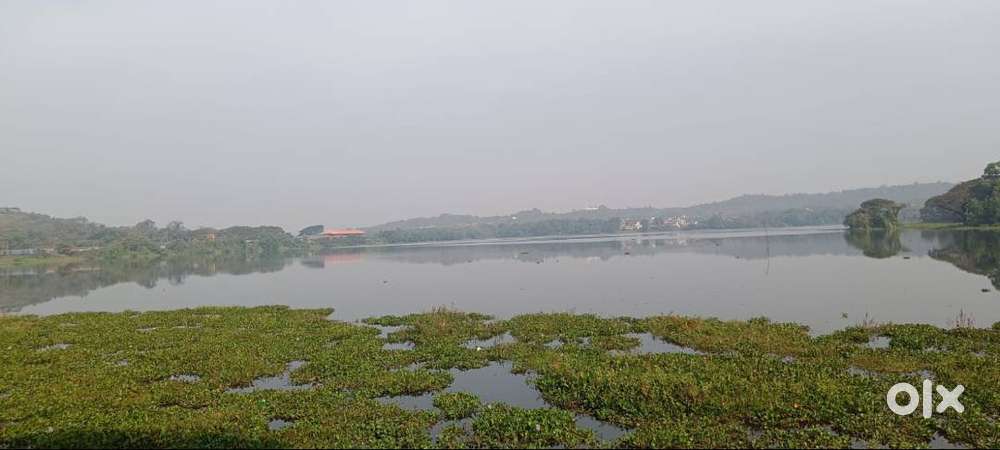 Lands & Plots for sale in Goa | OLX