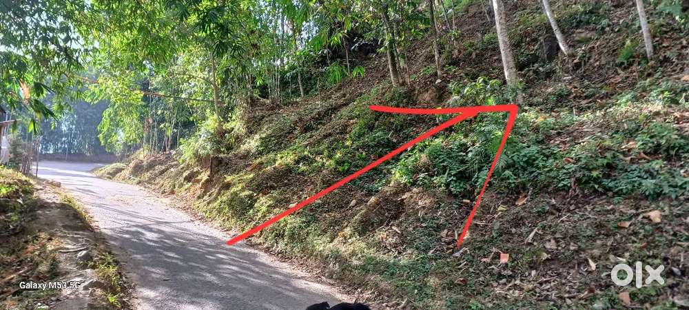 Plot for sale in Temi Tarku - Lands & Plots - 1795288821