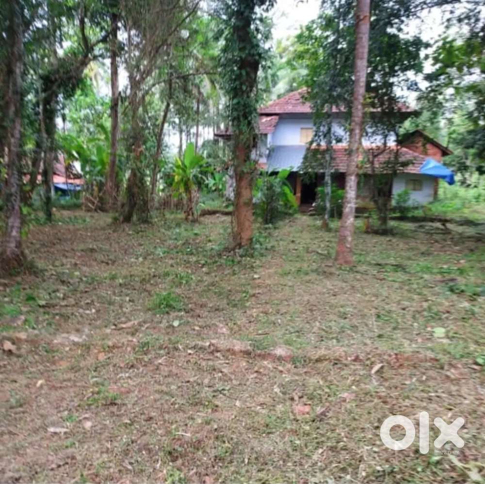 10 cent land for sale - Lands & Plots - 1822787048