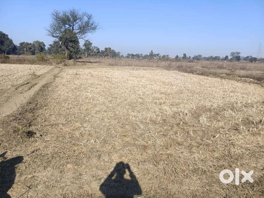 Plot in kotma bypass Highway (500 per sqf) - Lands & Plots in Balpurwa ...
