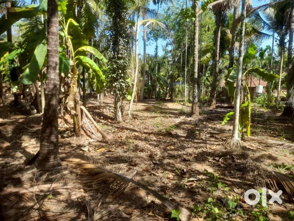 35 cent land, at 70,000 /cent at iyyad veeryambram ,nanmanda, Calicut ...