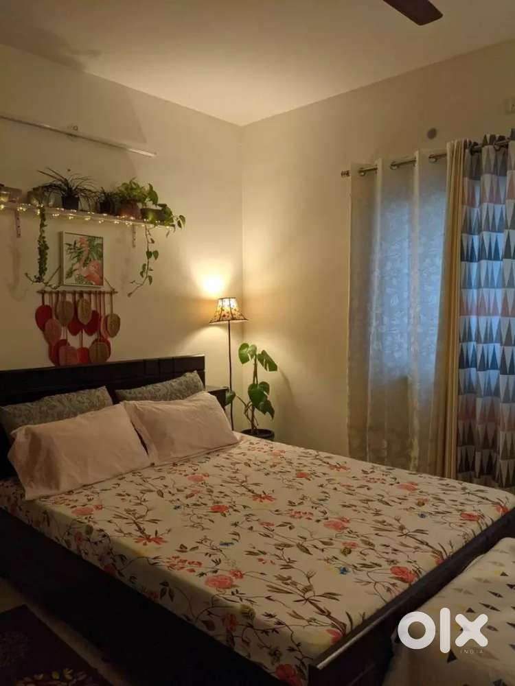 2bhk purab premium apartment furnished available for rent - For Rent ...