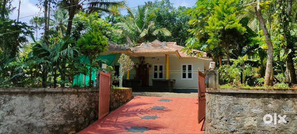 Premium Agricultural & Residential Property for Sale in WAYANAD - For Sale: Houses & Apartments ...
