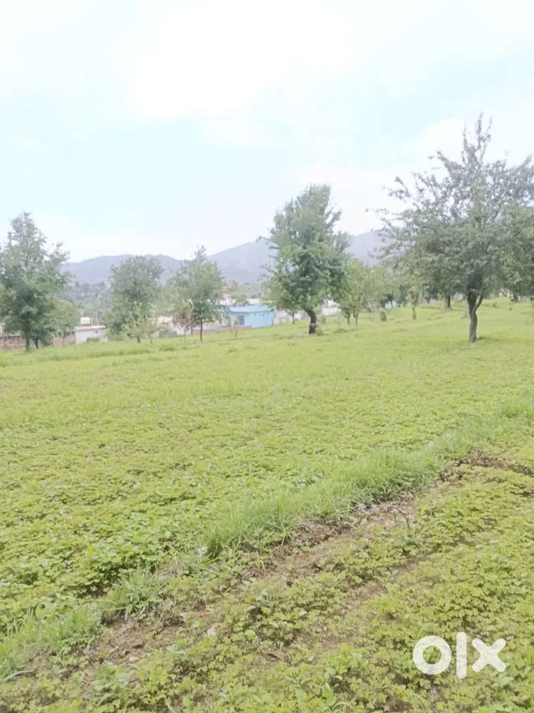 2 nali for sale wadda riyanshi - Lands & Plots - 1809525476