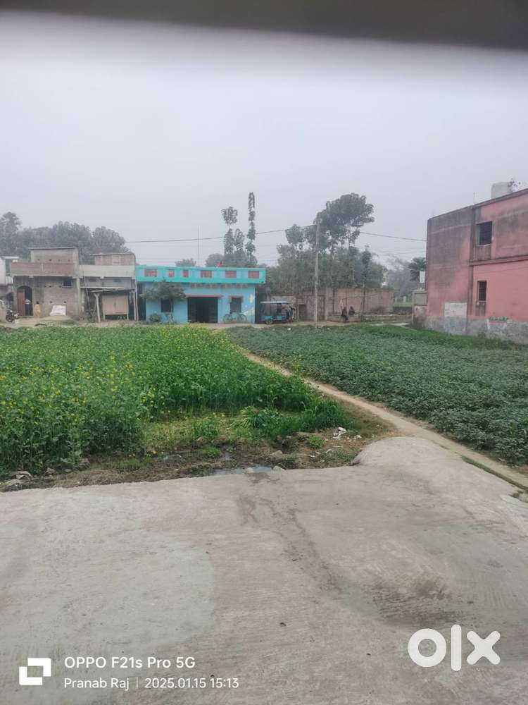 Land for Rent - Lands & Plots - 1798213463