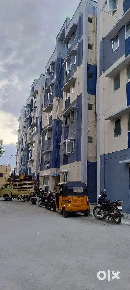 Painting and Polish - Home Renovation & Repair - 1811054795