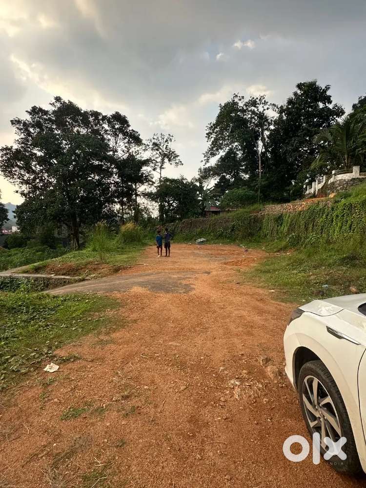 PALA ERNAKULAM Road - Lands & Plots - 1823470116