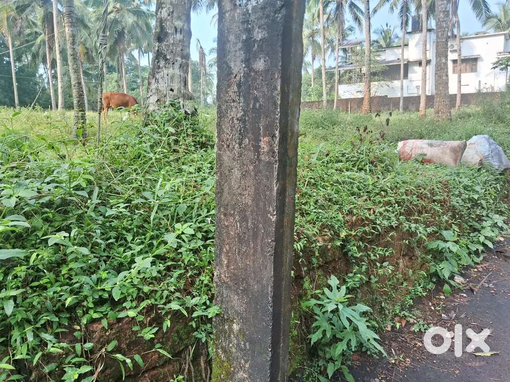 84 cent residential project land near MILMA peringalam calicut - Lands ...