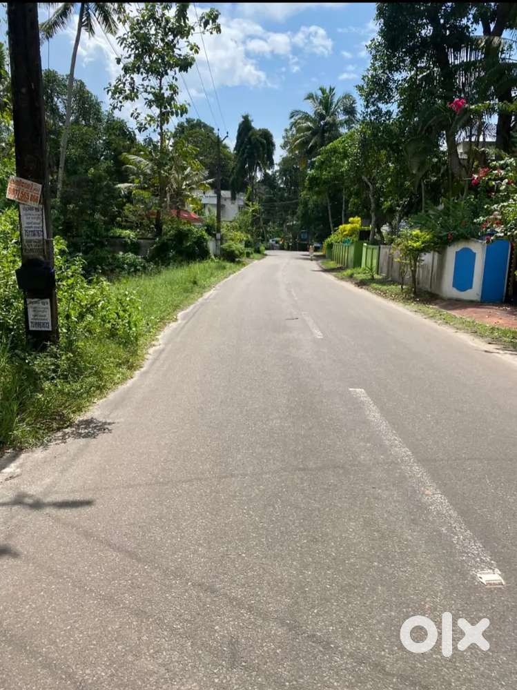 93 സെന്റ സ്ഥലം, പ്ലോട്ട് തിരിച്ചു കൊടുക്കപ്പെടും, - Lands & Plots ...