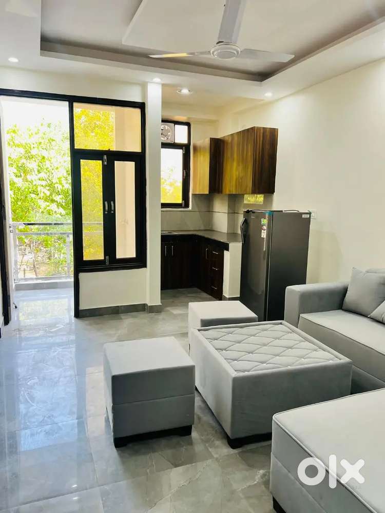 1BHK BEAUTIFUL FURNISHED FLAT FOR RENT IN SAKET AREA - For Rent: Houses ...