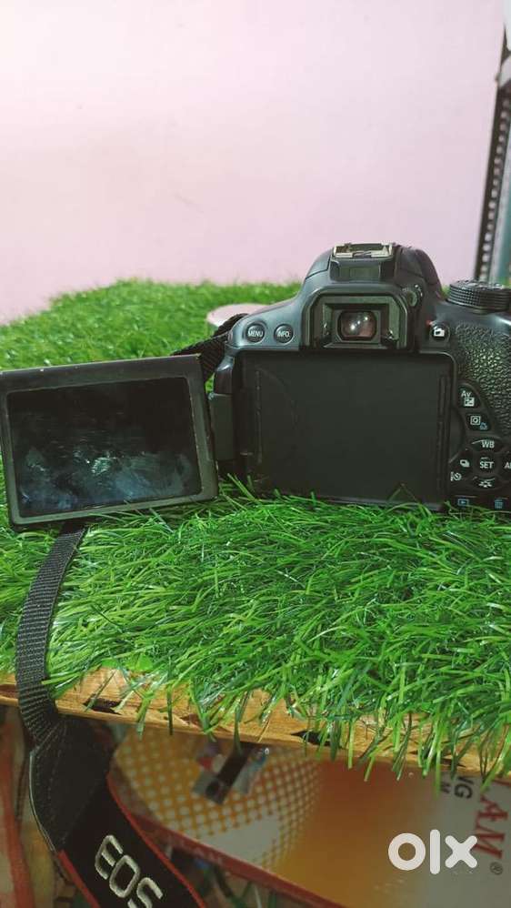 Canon 700D - Cameras & Lenses - 1764820969