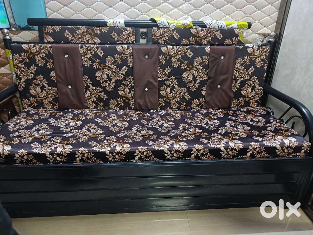 MS Sofa cum bed - Sofa & Dining - 1812510419