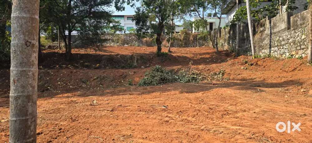 26 cent plot for Sale near Palachira Junction, Varkala - Lands & Plots ...