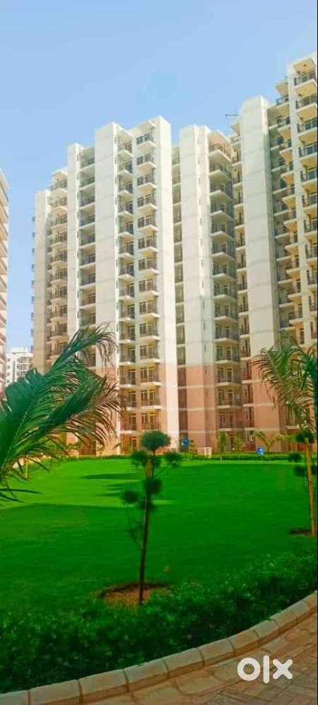 Rent For 2 Bhk - Buy, Sell & Rent Properties in Gurgaon | OLX