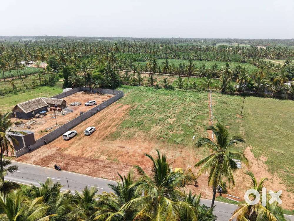 Commercial/Farm Land for sale near Sathy Road - Lands & Plots - 1809994942