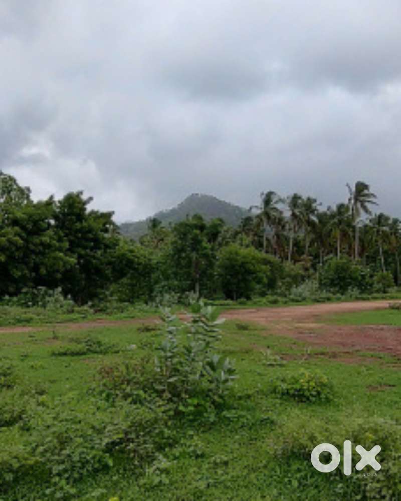 3.45 Acre farmland for sale in Anakkal, Palakkad - Lands & Plots ...