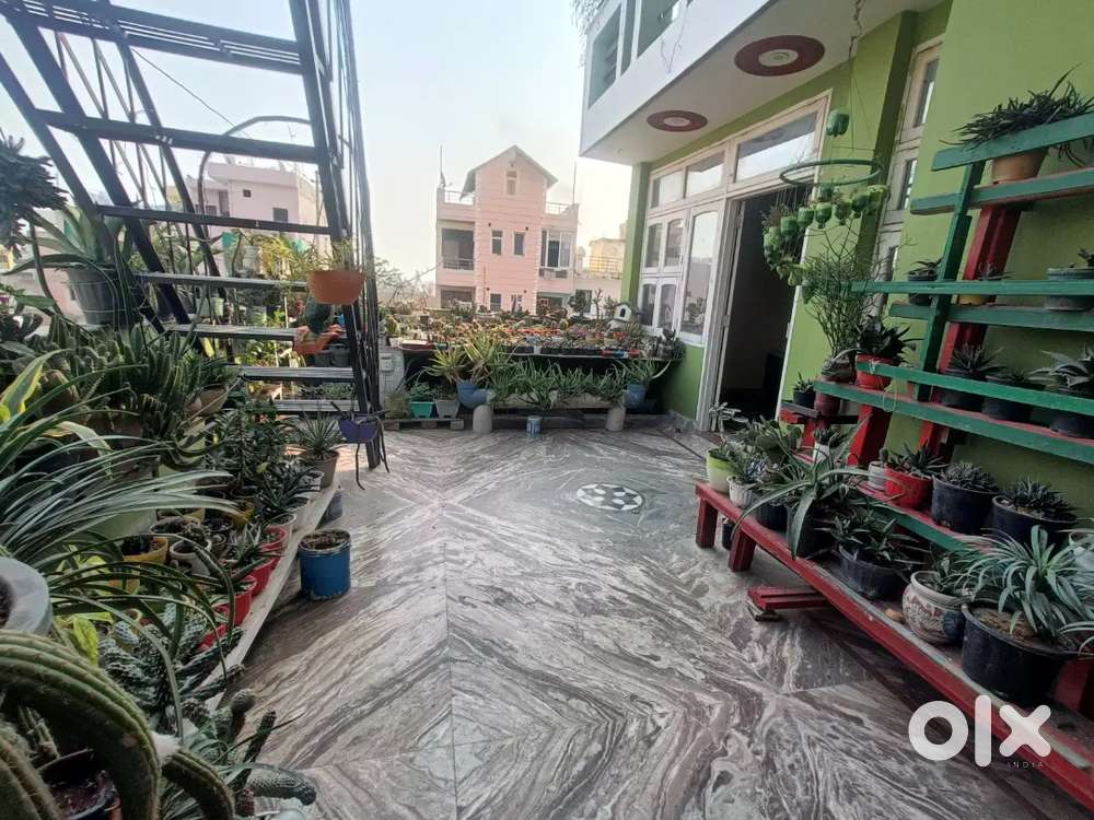 1RK Room for rent - For Rent: Houses & Apartments - 1807382526