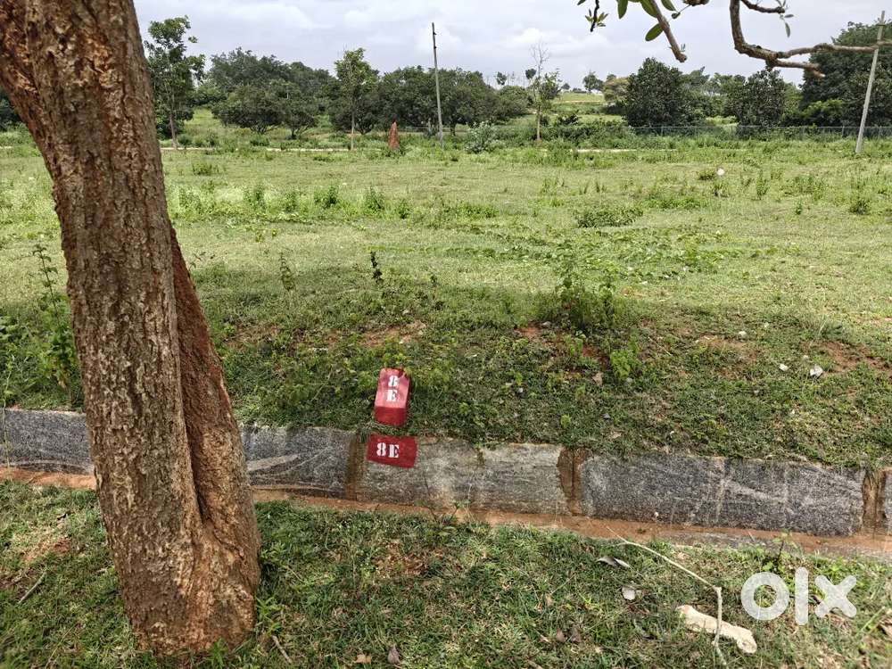 Site for sale - Lands & Plots - 1820531706