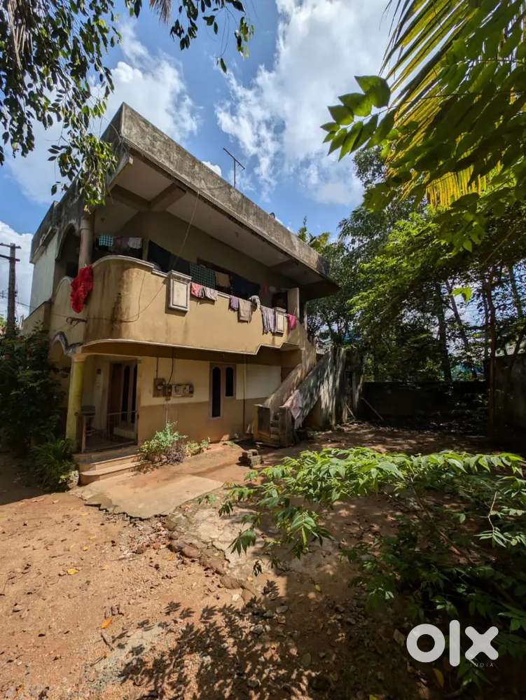 4 cent land with 2 tire house Thuckalay - For Sale: Houses & Apartments ...