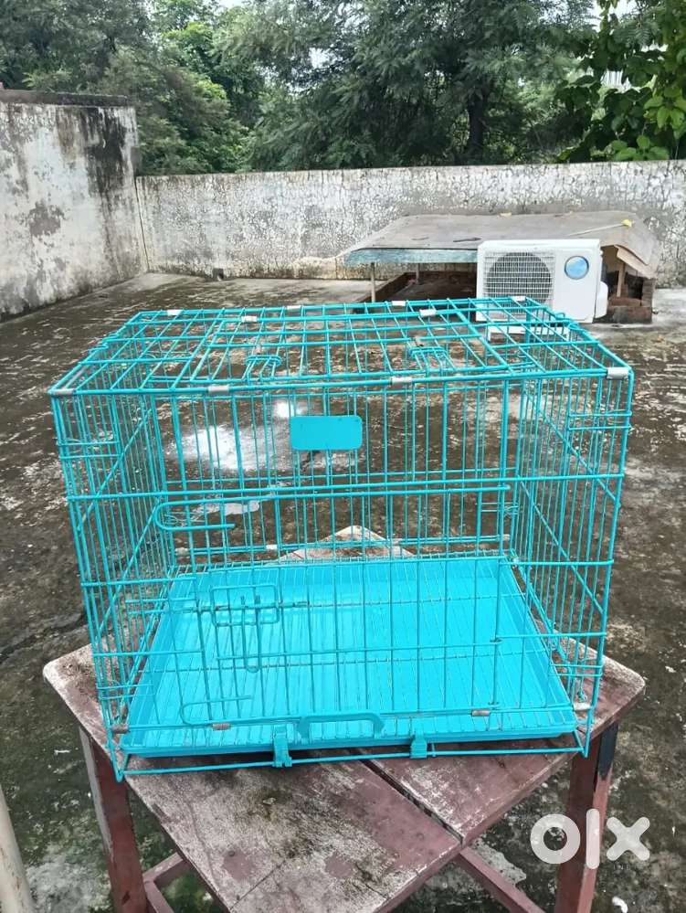 Puppy - Pets for sale in India | OLX