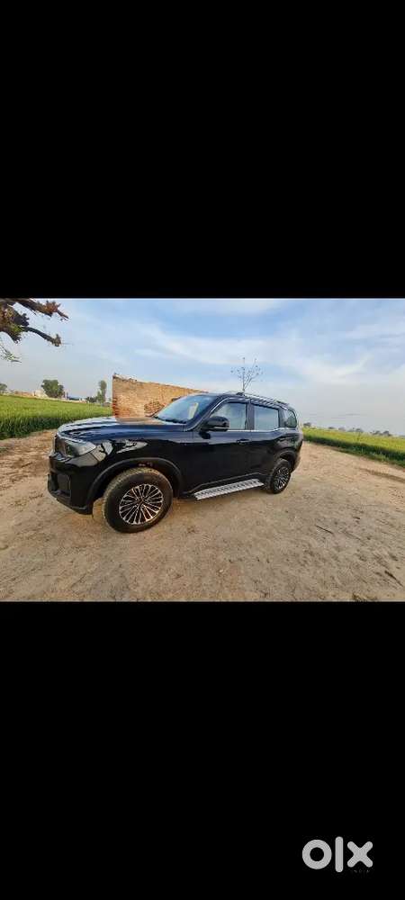 Mahindra Scorpio-N 2023 Diesel 20000 Km Driven - Cars - 1808865162