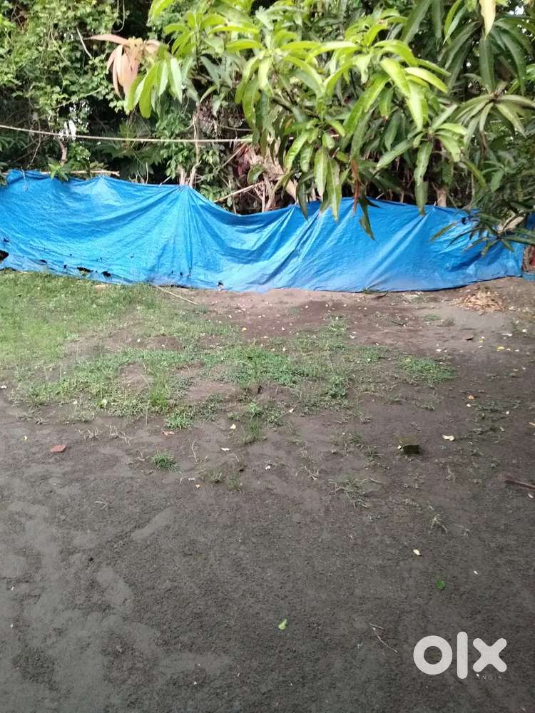 Lands & Plots for sale in Kochi | OLX