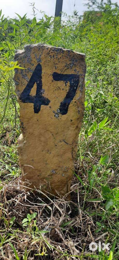 Lands & Plots For Sale in Melvisharam | OLX