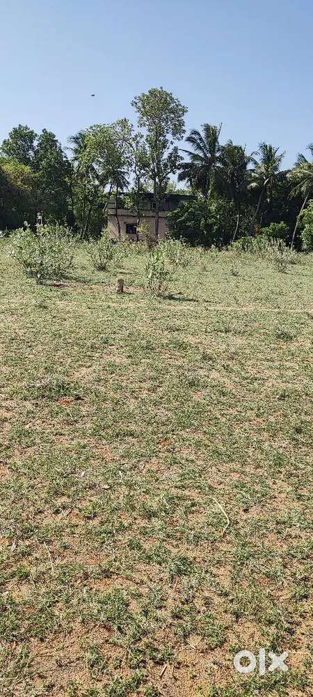 10 cents Land for sale - Lands & Plots - 1823126732