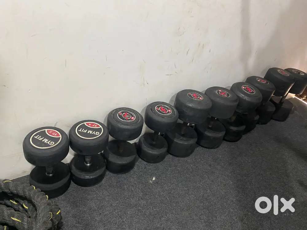 Dumbbells and plates - Gym & Fitness in Patiram, Siliguri - 1830607277