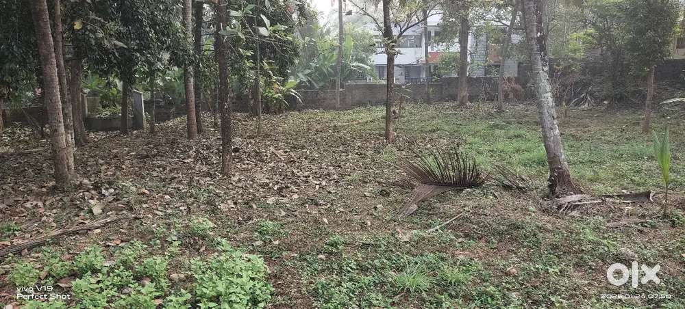 Kottuli and thondayad 50 cent plot for sale 8lakh per cent negotiable ...