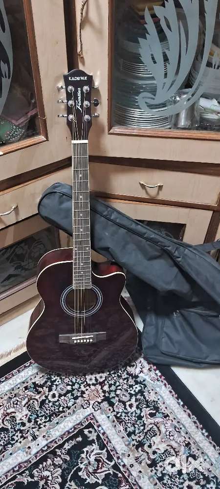 Kadence frontier series guitar with d'addario strings - Musical ...