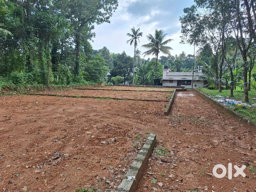 Muvatupuzha civil station 100 mtr only 9 cent houseplot 3.5 lak only ...