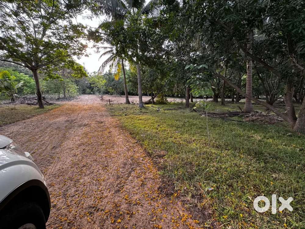 2400sqrfts dtcp approved farm house plots for sale in Chennai ECR rd. - Lands & Plots - 1768583708