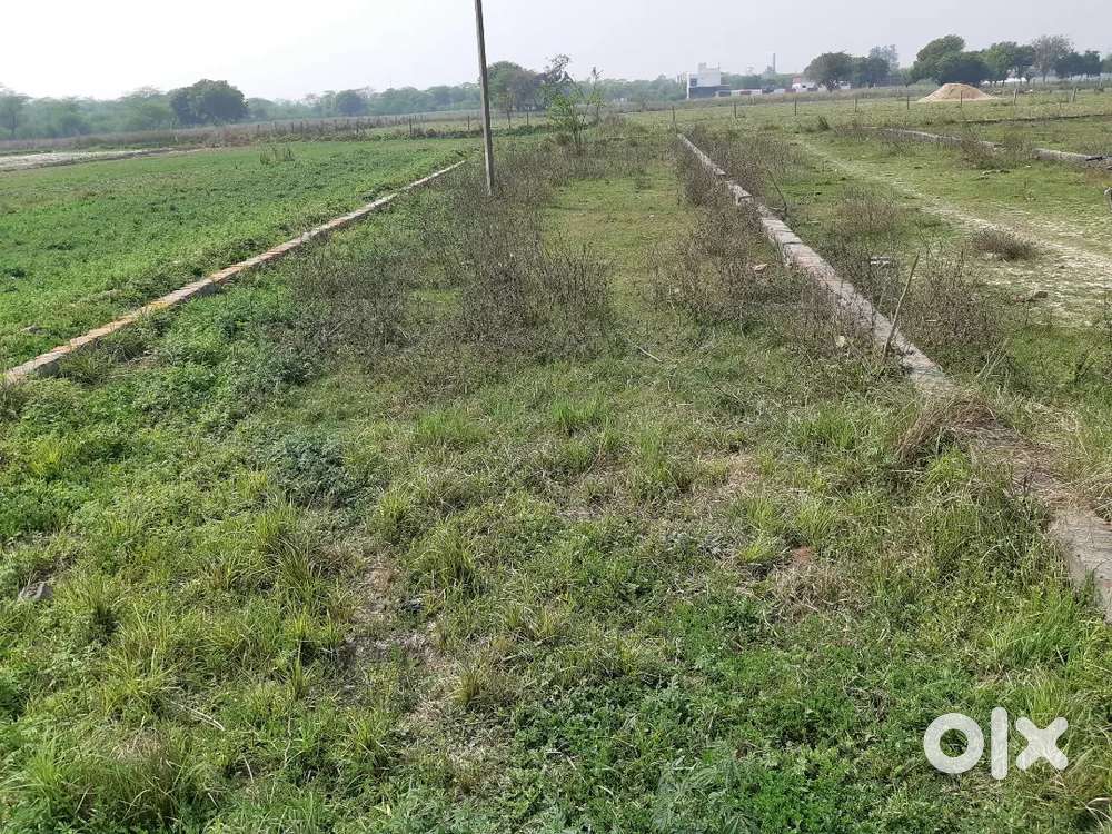 plot for sale 6500 Rs per gaz, shop in venus tower medical road - Lands ...