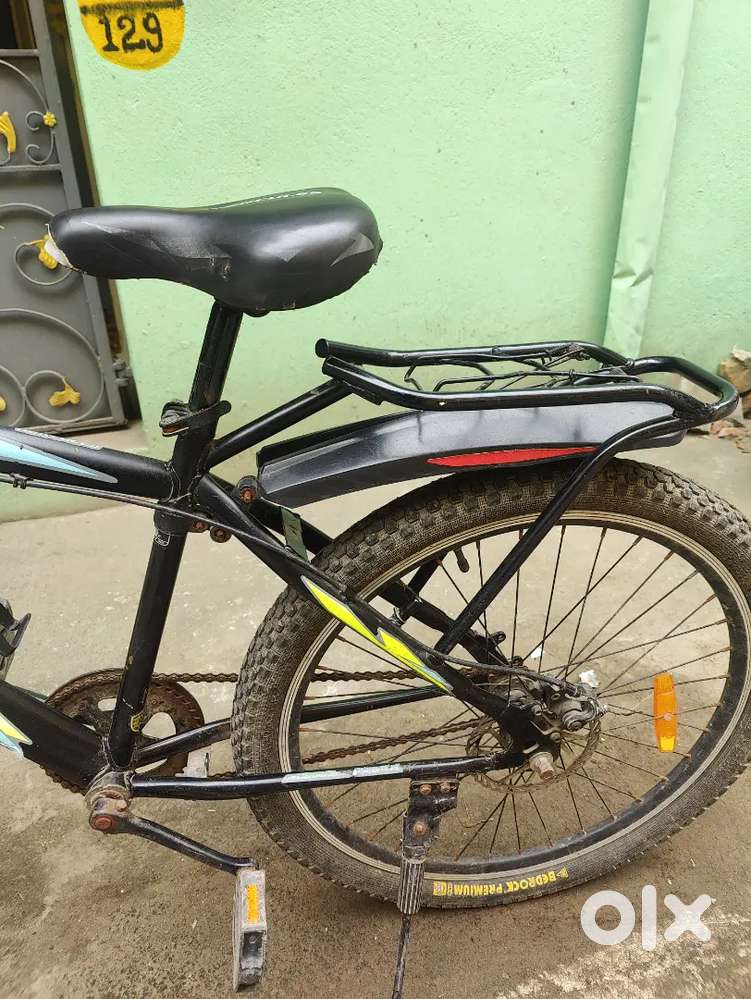 Street cat - Bicycles - 1826592950