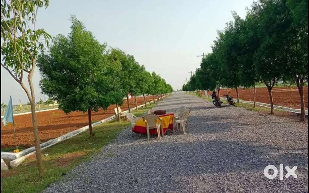 Lands & Plots for sale in Guntur | OLX