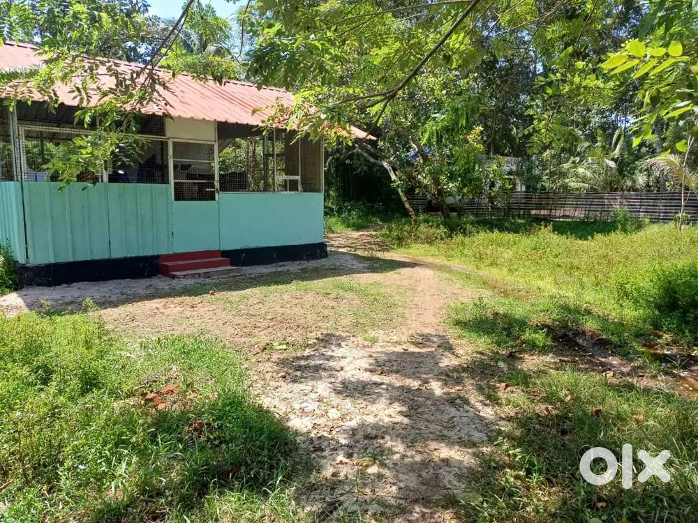 8 Cent Plot Near Arthungal Church - Lands & Plots - 1819849505