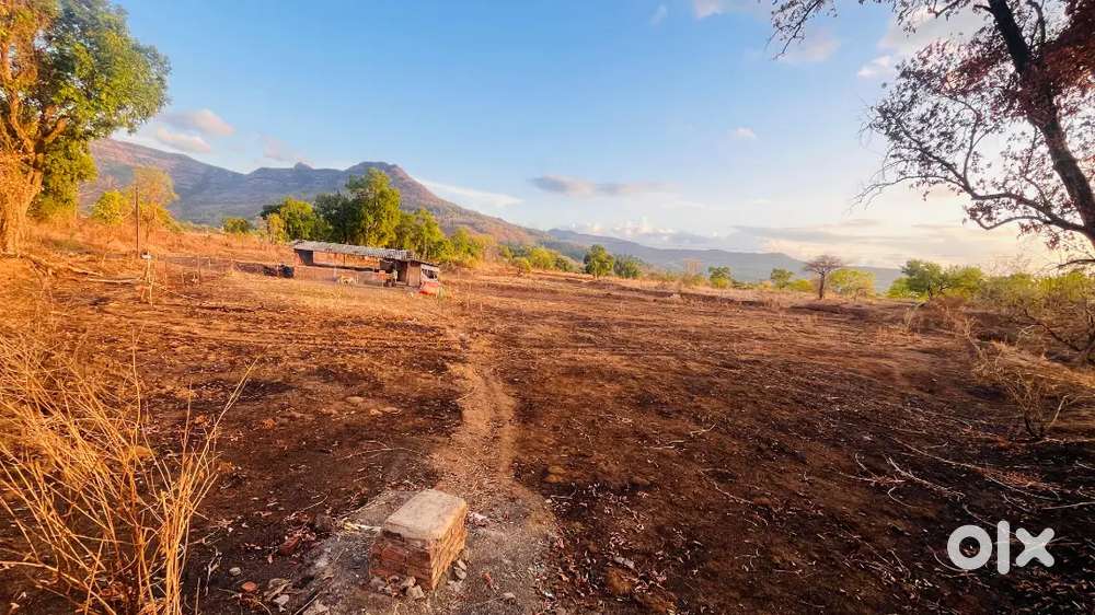 1 acre land and poultry farm on rent - Lands & Plots - 1806651641